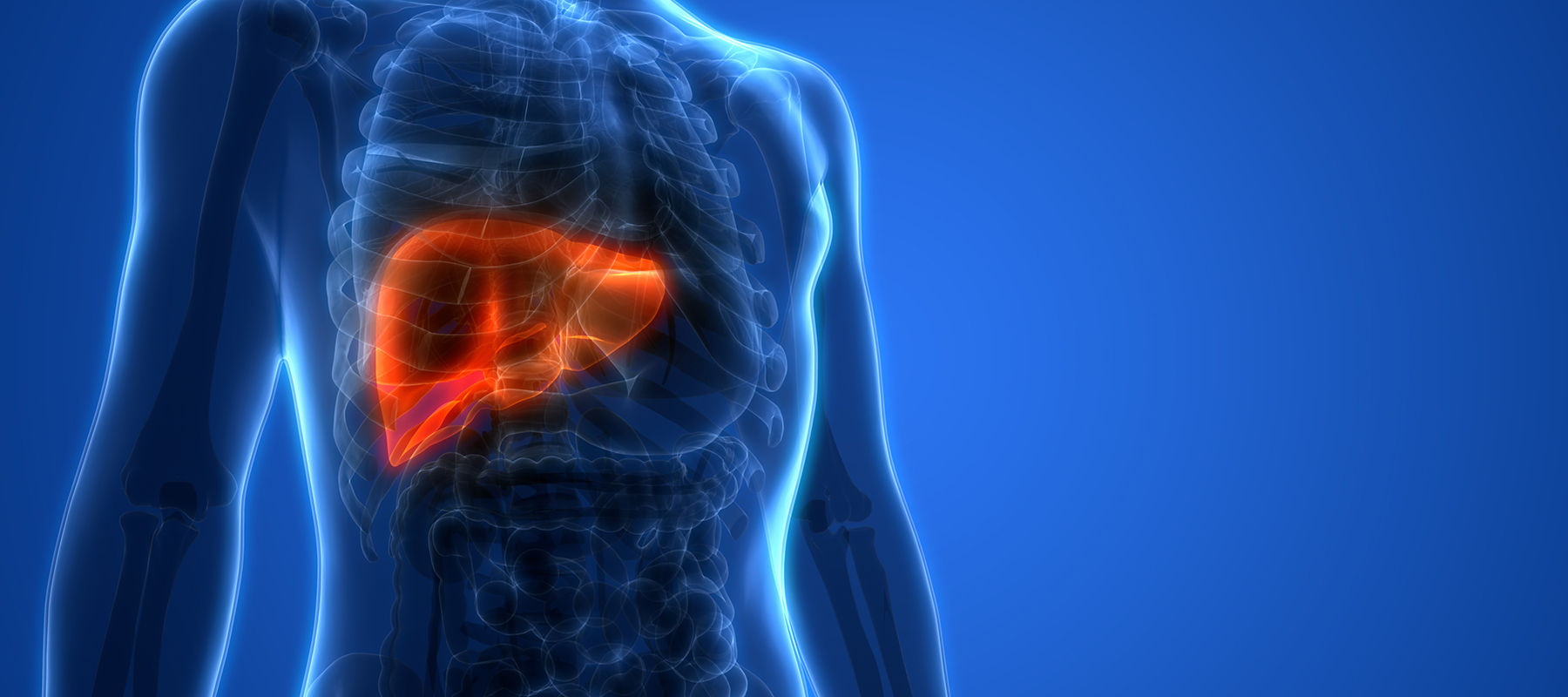 Cirrosi epatica, una malattia molto diffusa e difficile da affrontare ...
